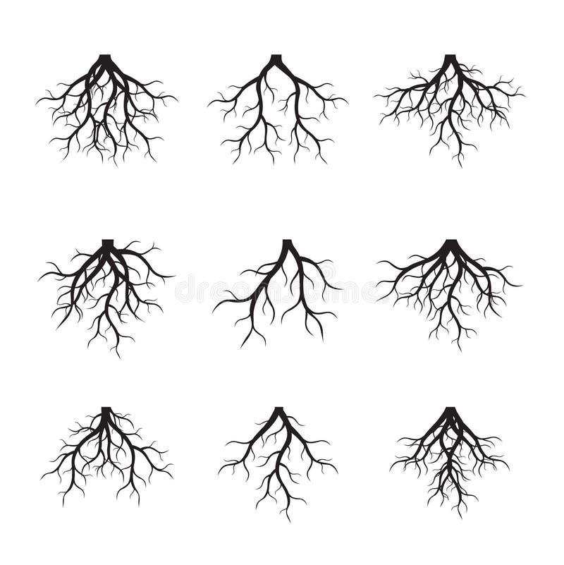 Set of Black Roots. Vector Illustration and Graphic Elements.. Stock ...