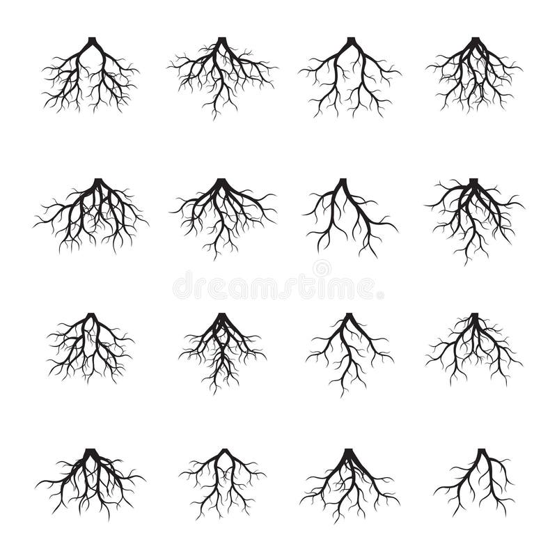 Set of Black Roots. Vector Illustration. Stock Illustration ...