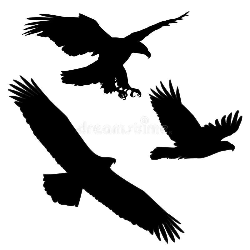 Set of Black Silhouette Three Eagles Stock Vector - Illustration of ...