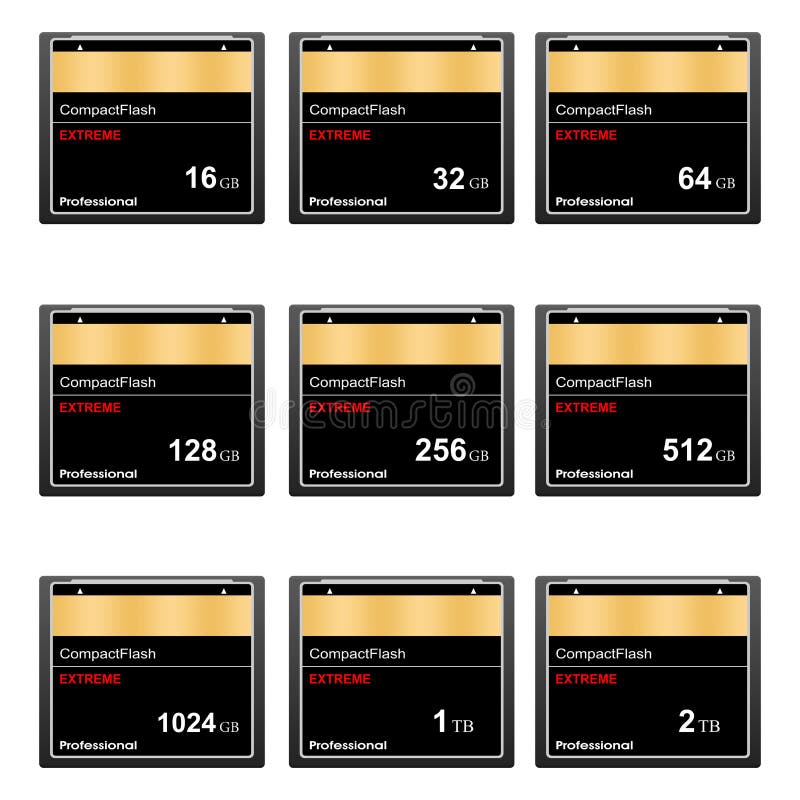Set of Black Standard Digital Compact Flash Memory Cards of Different ...