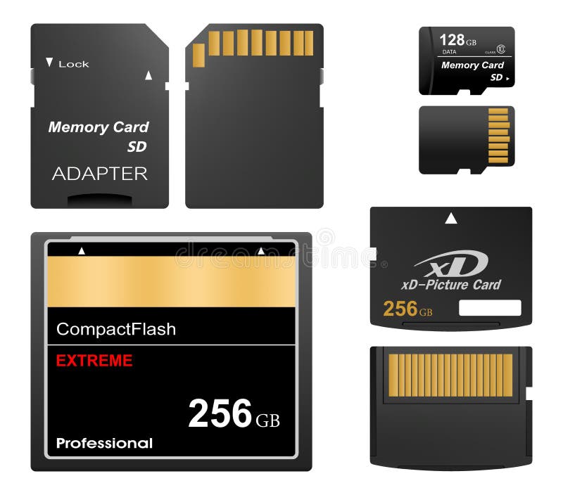 Set of Black Standard Digital Sd, Xd and Compact Flash Memory Cards ...