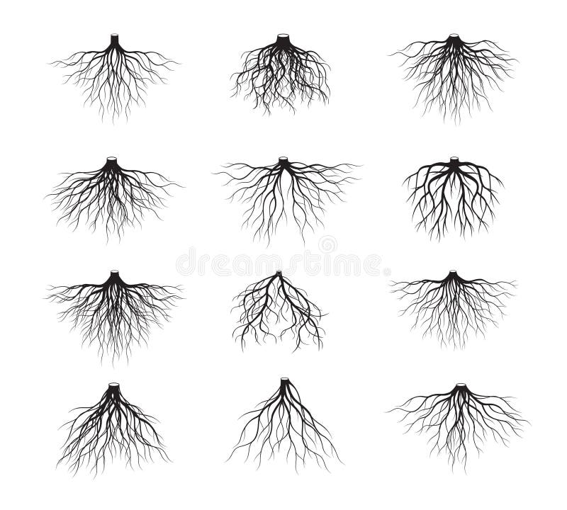 Set of Black Tree Roots. Vector Illustration Stock Illustration ...
