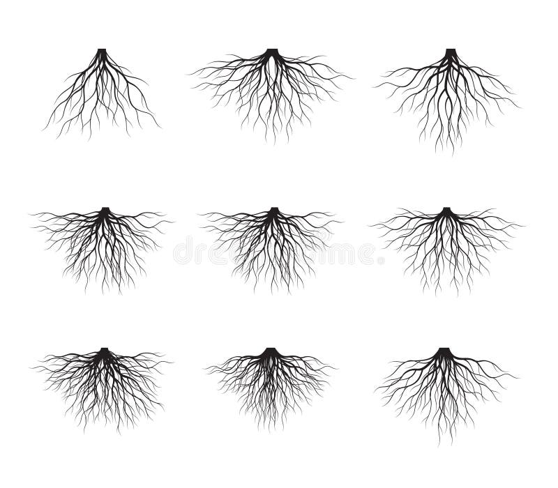 Set of Black Tree Roots. Vector Illustration Stock Illustration ...