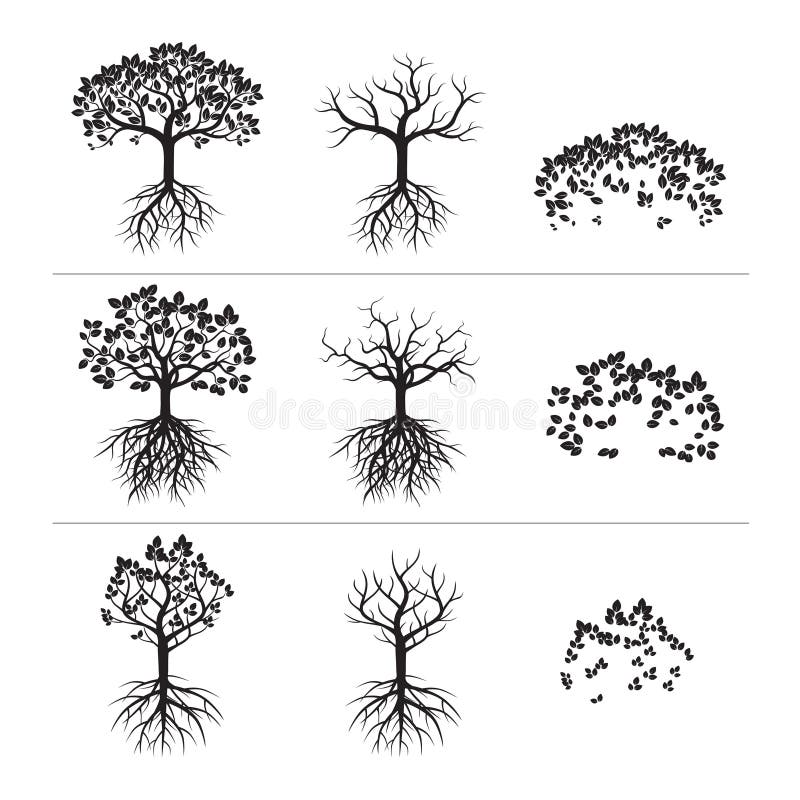 Set of Black Trees and Roots Stock Illustration - Illustration of ...