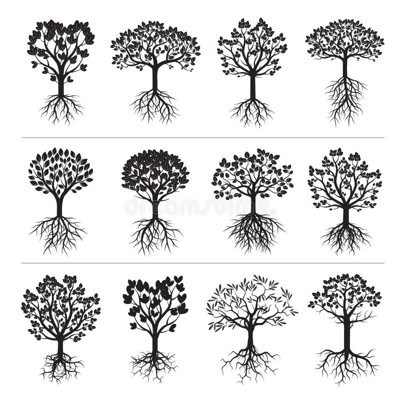 Set of Black Trees and Roots Stock Illustration - Illustration of ...