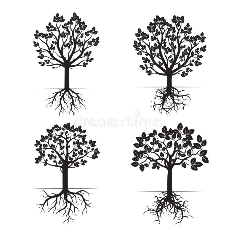 Set of Black Trees and Roots. Vector Illustration. Stock Illustration ...