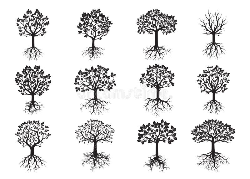 Set of Black Trees and Roots. Vector Illustration. Stock Illustration ...
