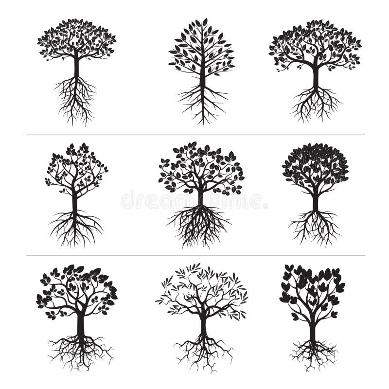 Set of Black Trees and Roots. Vector Illustration. Stock Illustration ...
