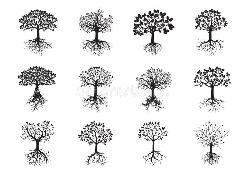 Set of Black Trees and Roots. Vector Illustration. Stock Illustration ...