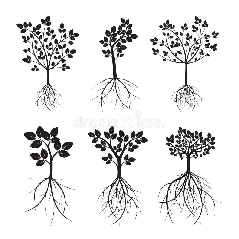 Set Black Trees and Roots. Vector Illustration Stock Illustration ...