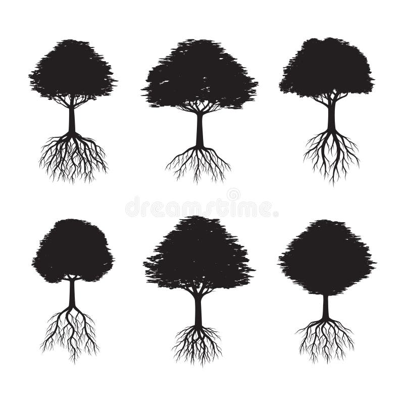 Tree Underground Roots Vector. Plant Underground Roots Set. Tree Root ... Tree Underground Roots Vector. Plant Underground Roots Set. Tree Root ...