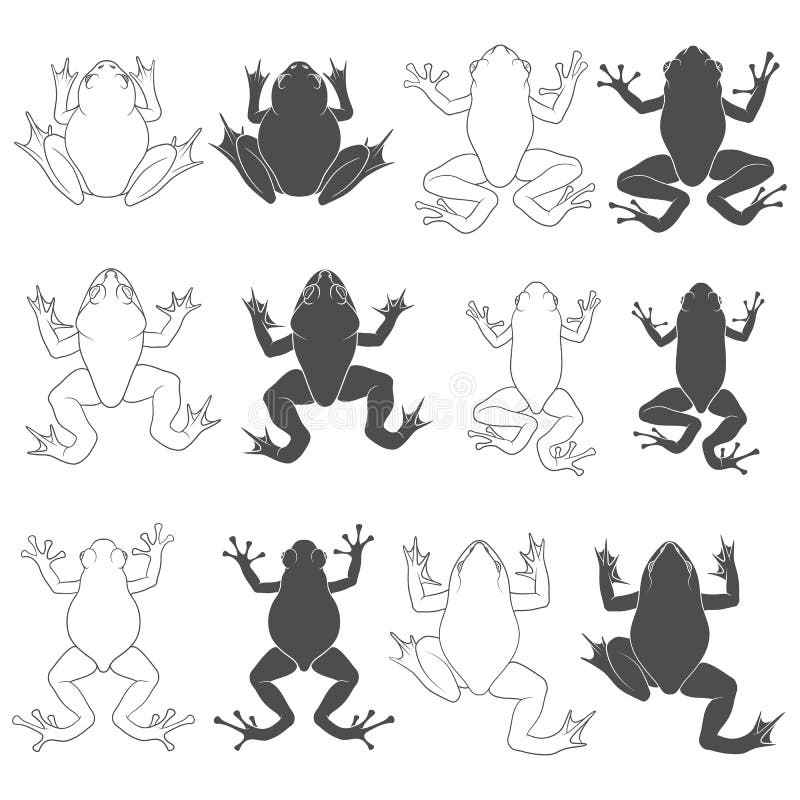 Set of Black and White Illustrations with Tree and River Frogs ...