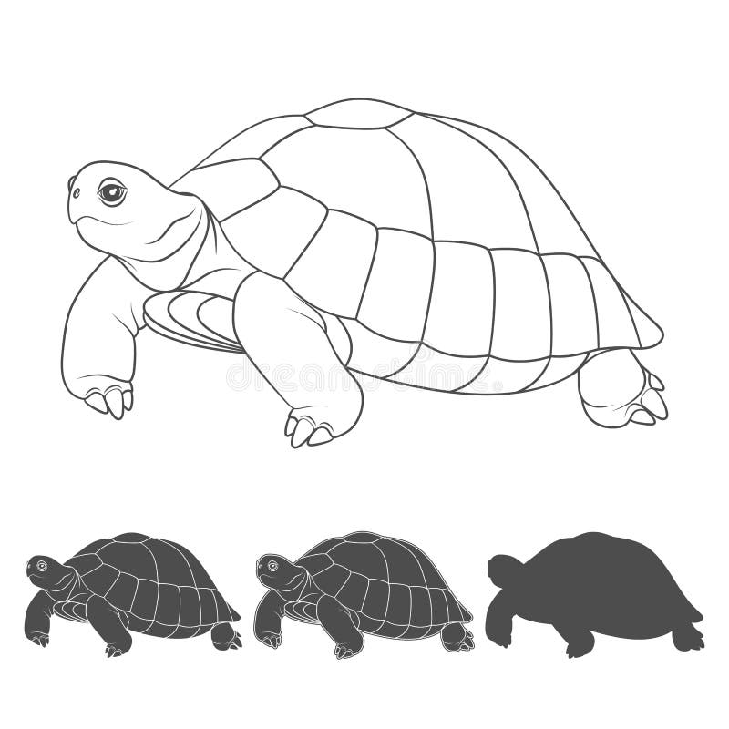 Set of Black and White Illustrations with Turtle. Isolated Vector ... Set of Black and White Illustrations with Turtle. Isolated Vector ...