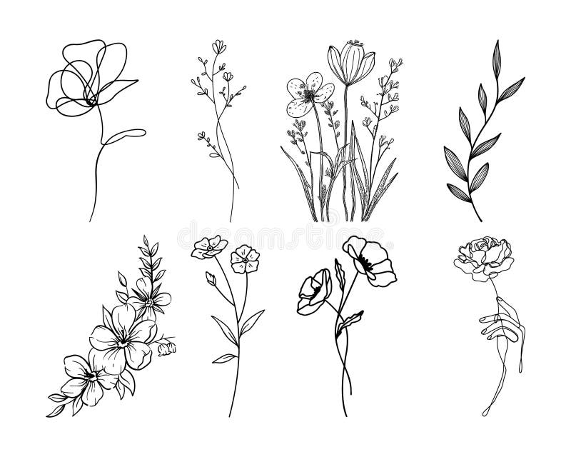 Set of Black and White Line Art Flowers. Stock Illustration ...
