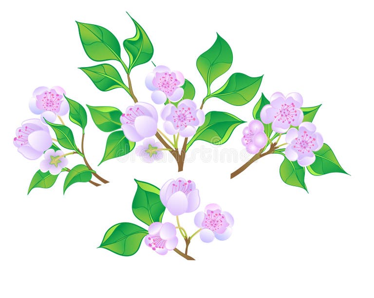 Addition Branches Stock Illustrations – 1,342 Addition Branches Stock ...