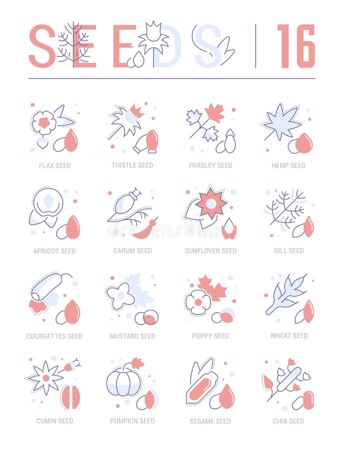Set Blue Line Icons of Seeds Stock Illustration - Illustration of cumin ...