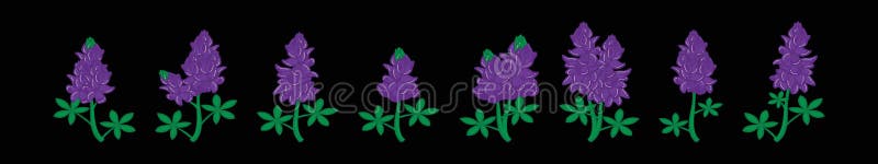 Set of Bluebonnet Cartoon Icon Design Template with Various Models ...