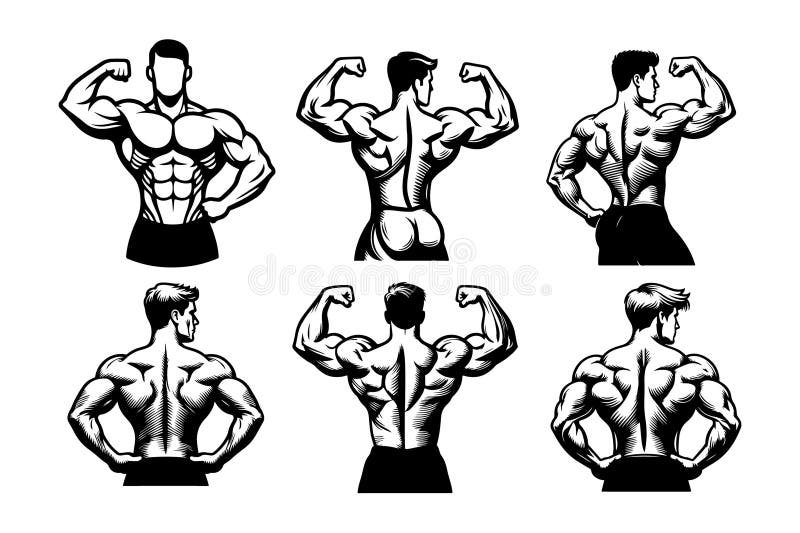 A Set of Bodybuilder Silhouette Line Art Vector Icon Stock Vector ...