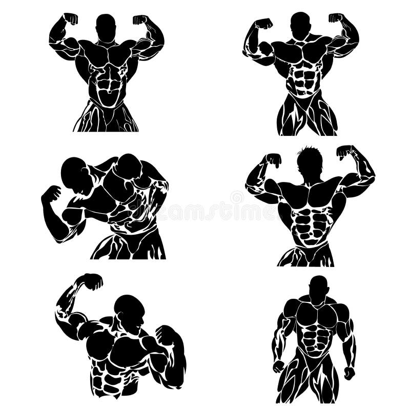 Bodybuilders flexing stock illustration. Illustration of attractive ...