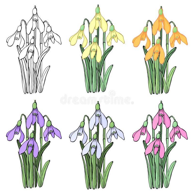 Set of Bouquets of Spring Flowers. Vector Graphics. Isolated Elements ...