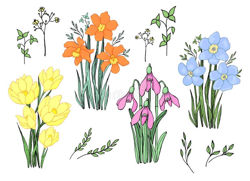 Set of Bouquets of Spring Flowers. Vector Graphics. Isolated Elements ...