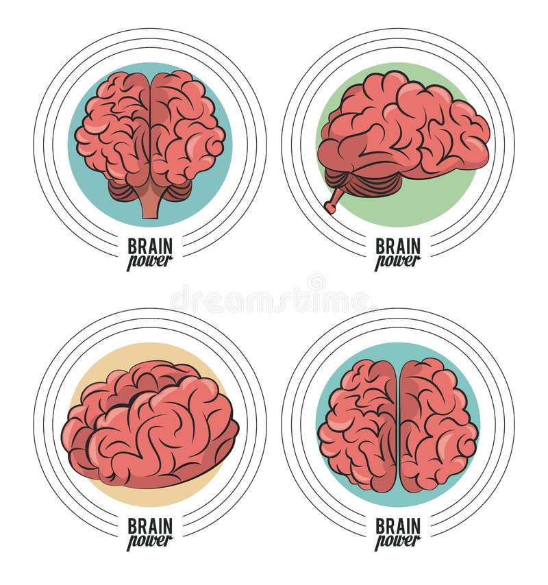 Set of brain power emblems stock vector. Illustration of science ...