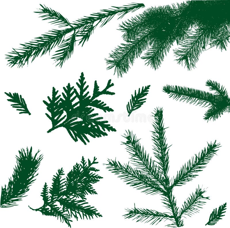 Evergreen Branch Silhouette Stock Illustrations – 10,014 Evergreen ...