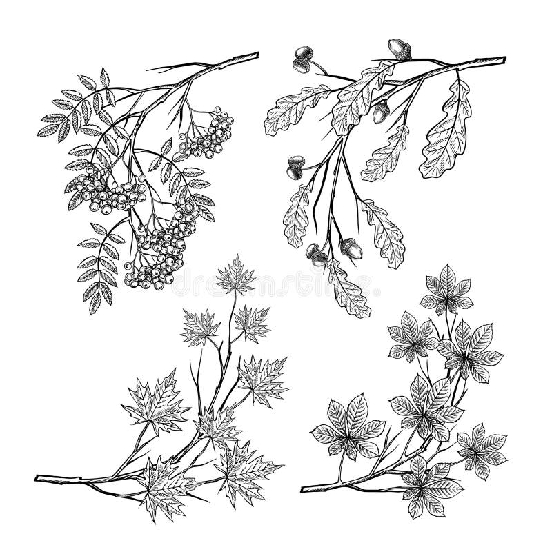 Vector Graphics Illustration Set Stock Illustrations – 182,791 Vector ...