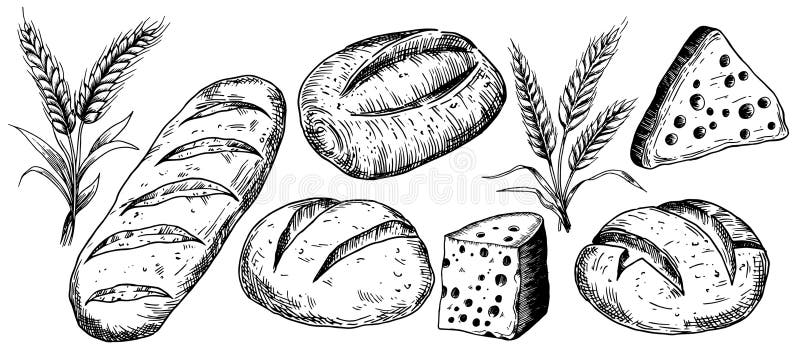 Set of Bread and Cheese. Vector Drawing in Sketch Style Stock ...