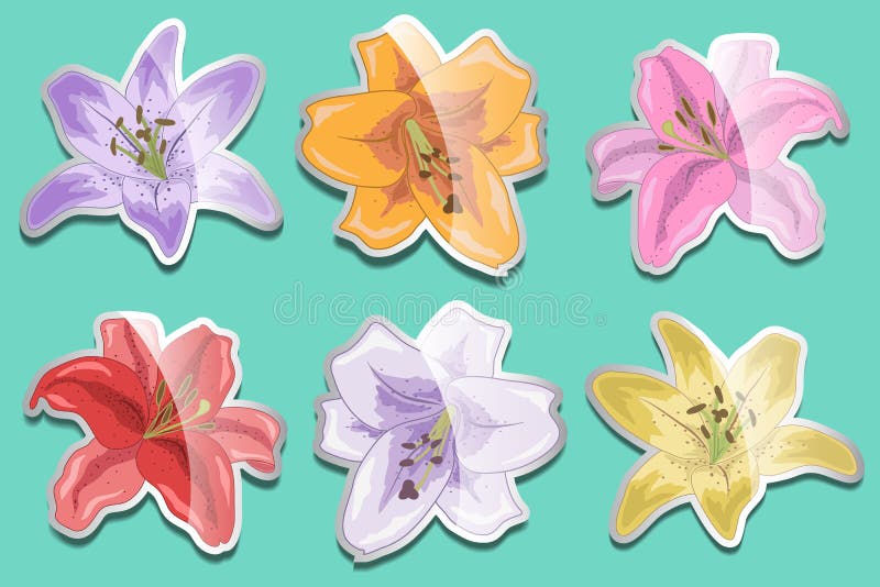 Set of Bright Stickers of Lilies for Your Design. Stock Vector ...