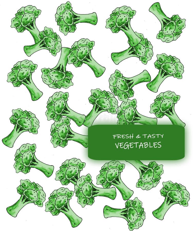 A Set of Broccoli. Graphic on a White Background. Fresh Vegetables ...