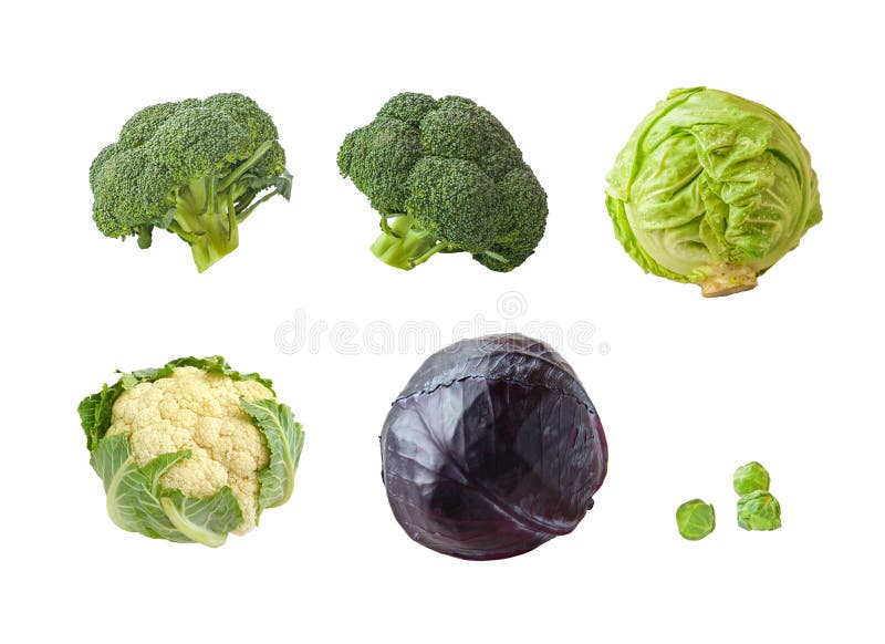 Set Broccoli isolated stock image. Image of diet, health - 53401585