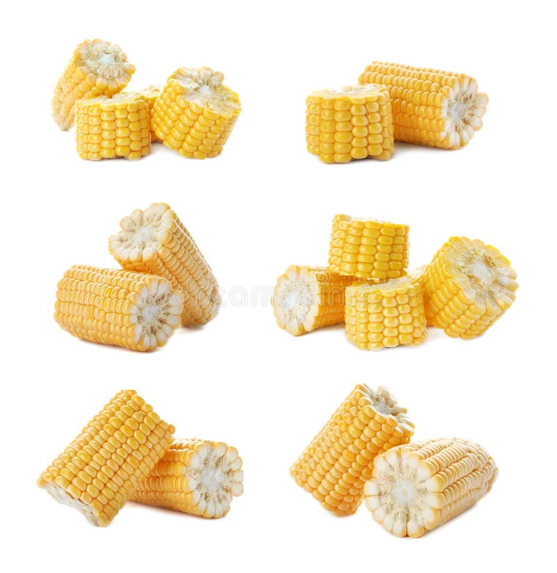 Set with broken corn cobs stock photo. Image of grain - 125847456 Set with broken corn cobs stock photo. Image of grain - 125847456