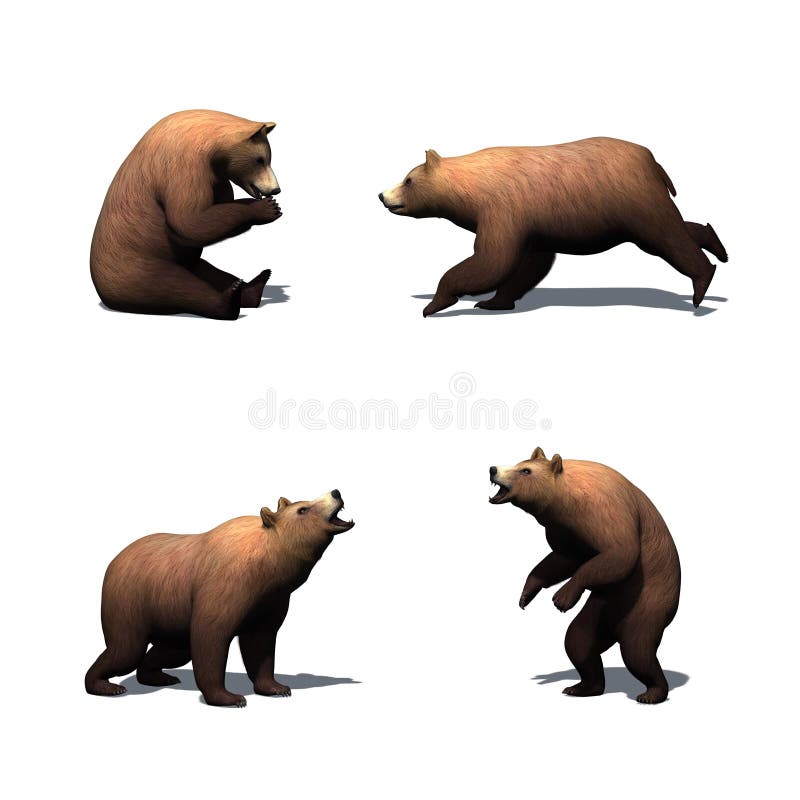 Set of Brown Bear in Different Movements with Shadow on the Floor on ...