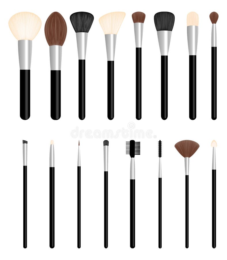 Set of Brushes for Make Up, Vector Illustration Stock Vector ...