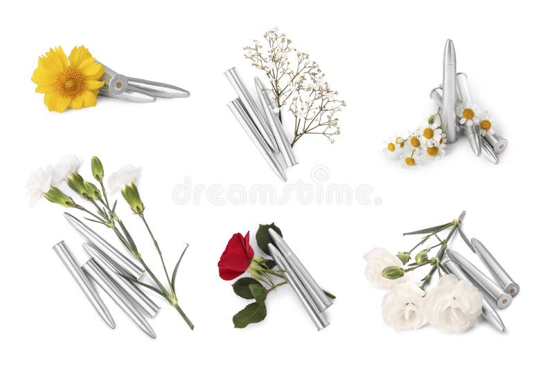Set of Bullets and Beautiful Flowers Isolated on White Stock Photo ...