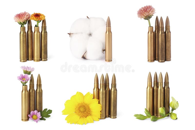 Set of Bullets and Beautiful Flowers Isolated on White Stock Image ...