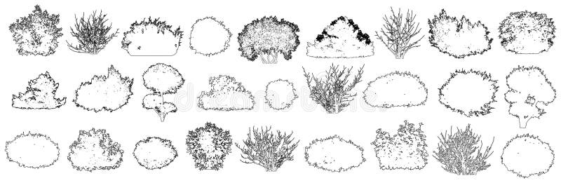 Set of Bush and Bare Bush, Decorative Garden Plants, Contour. Vector ...