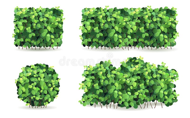 Set of Bushes with Green Leaves of Different Shapes. Stock Vector ...