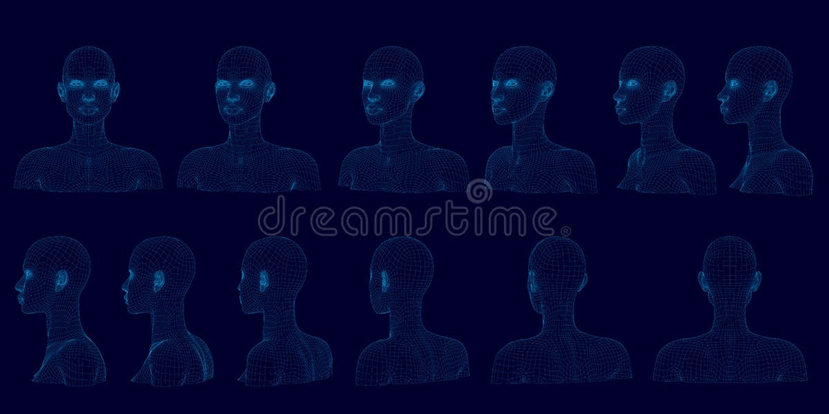 Polygonal Wireframe Female Head Stock Illustrations – 203 Polygonal ...