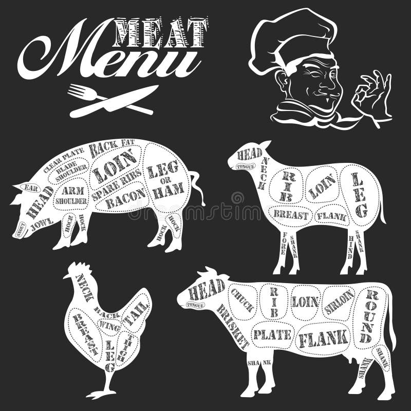 Set of Butcher Shop Labels and Design Elements Stock Vector ...