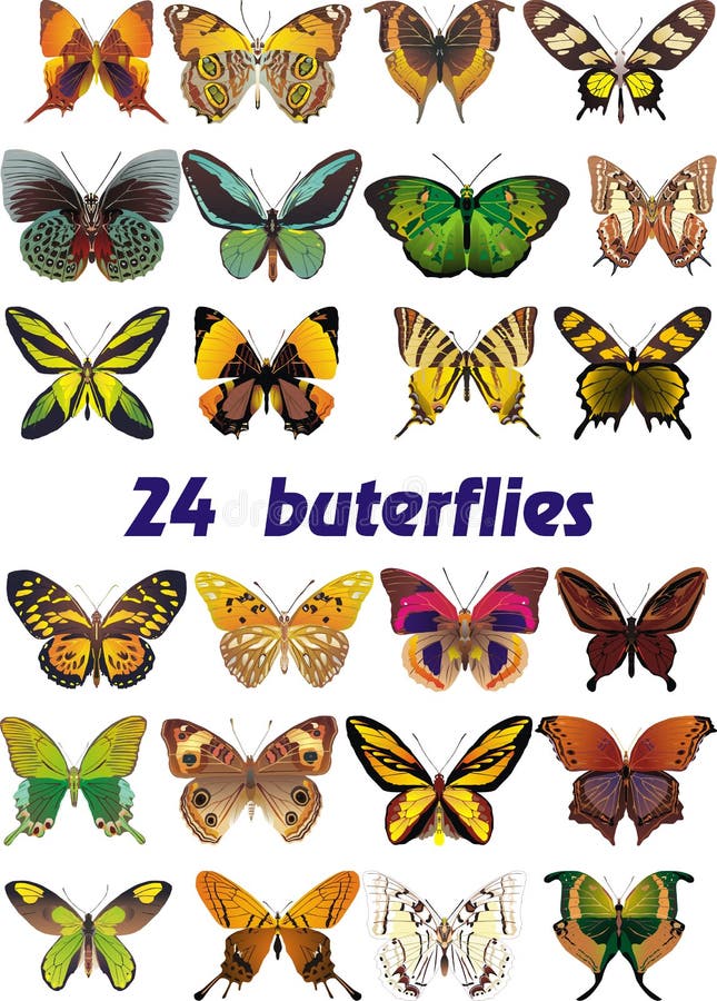 A Set of 24 Butterfly in Vector Stock Vector - Illustration of artistic ...