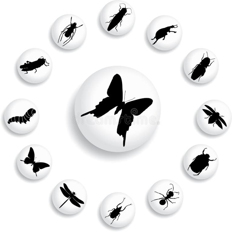 Round Insects Stock Illustrations – 804 Round Insects Stock ...