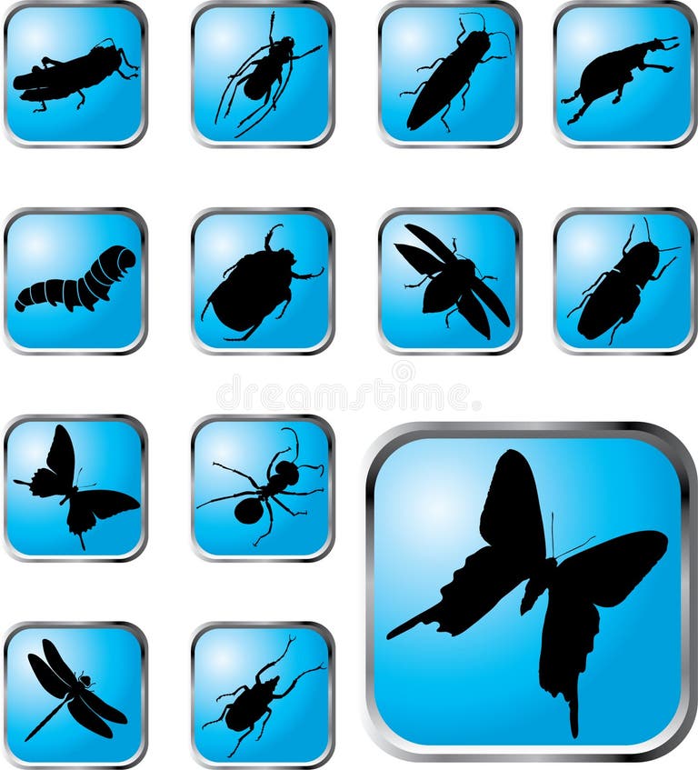 Round Insects Stock Illustrations – 804 Round Insects Stock ...