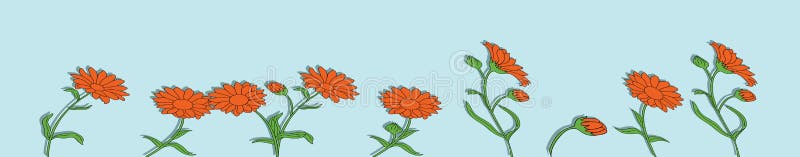 Set of Calendula Flowers Cartoon Icon Design Template with Various ...