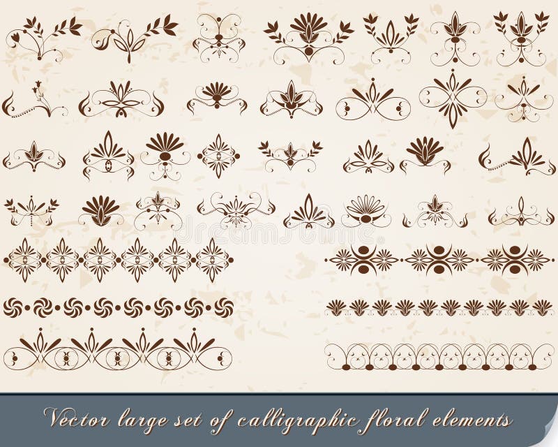 Set of Calligraphic Design Elements Stock Vector - Illustration of ...