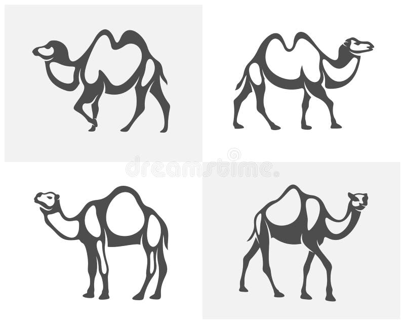 Camel Logo Vector, Animal Graphic, Camel Design Template Illustration ...