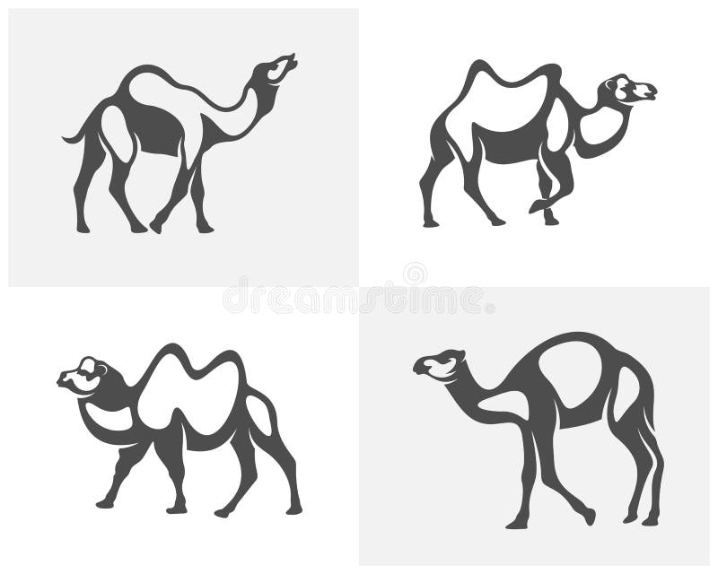 Camel Logo Vector, Animal Graphic, Camel Design Template Illustration ...
