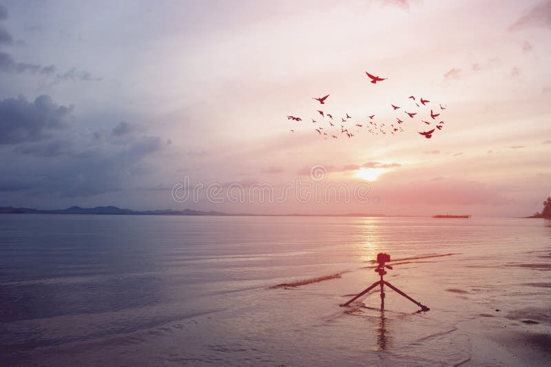 Camera and the Sea To See the Sunset Stock Image - Image of beach ...