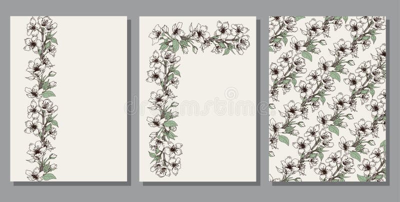 Set of Cards with Spring Cherry Blossom. Stock Vector - Illustration of ...